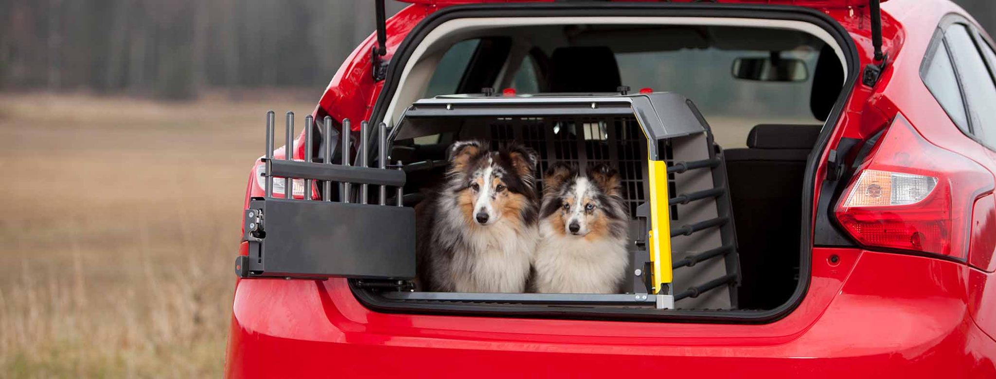 The safest dog crate for cars by MIMsafe